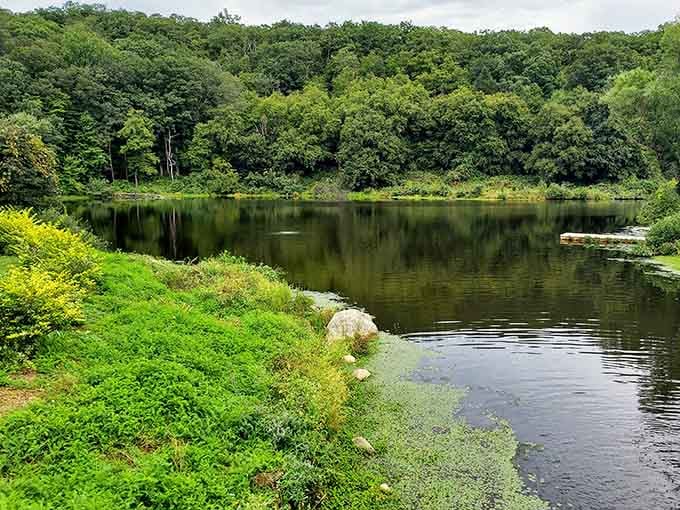 This mirror-like water reflects every shade of green imaginable, proving nature's still the best interior decorator around.