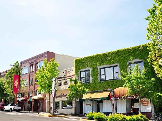 Downtown Ashland looks like someone designed a town specifically to make you smile and then succeeded spectacularly.