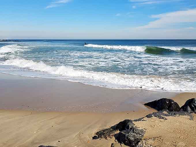 Perfect waves rolling onto pristine sand where nature occasionally decides to put on an electric blue light show.