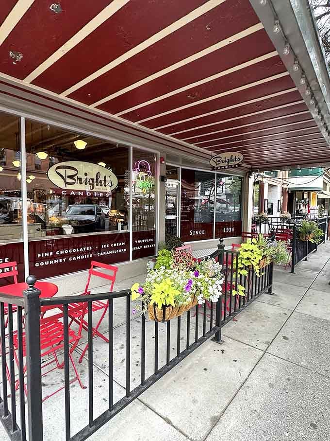 That red-and-white striped awning isn't just charming, it's basically a beacon calling all sugar lovers to paradise.
