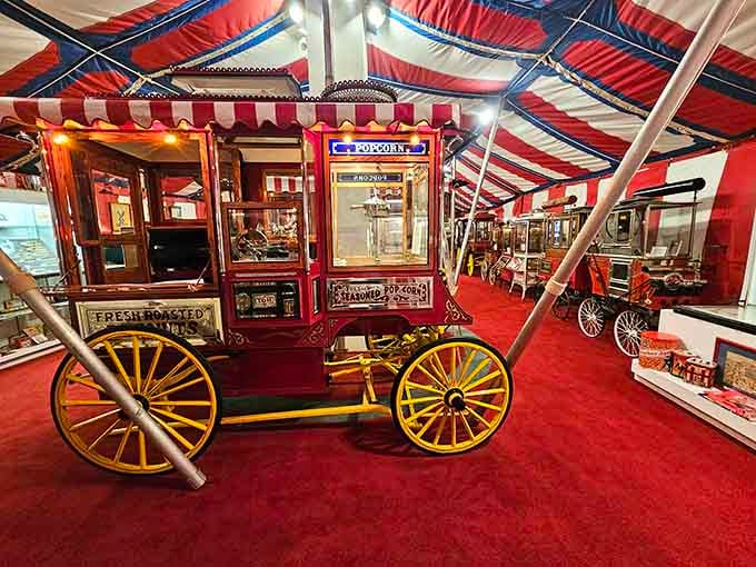 Step right up to a carnival of popcorn history where vintage wagons steal the show under festive stripes.