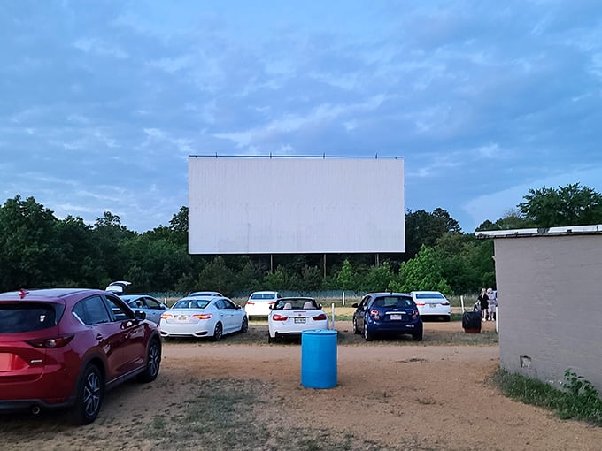 Your chariot awaits its double feature under skies that'll make you forget streaming ever existed.