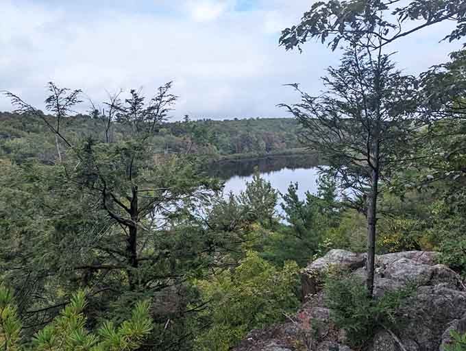 Through the pines, a hidden lake emerges like nature's own secret keeping spot, peaceful and pristine.