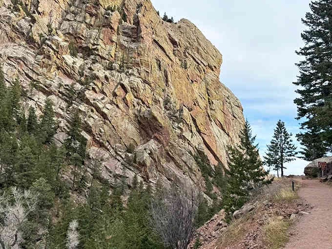 These golden canyon walls tower like nature's skyscrapers, making you feel wonderfully small in the best way.