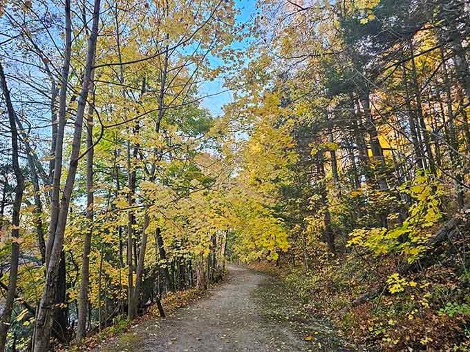 That ornate bridge isn't just Instagram bait&mdash;it's your gateway to adventures your dog will recount to other dogs for weeks.