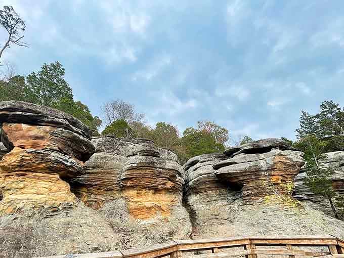 Nature's layer cake took 320 million years to bake, and the presentation is absolutely stunning.