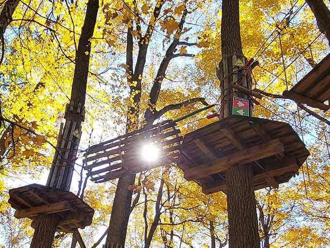 Sunlight filters through fall foliage onto adventure platforms that make your inner kid start doing cartwheels.