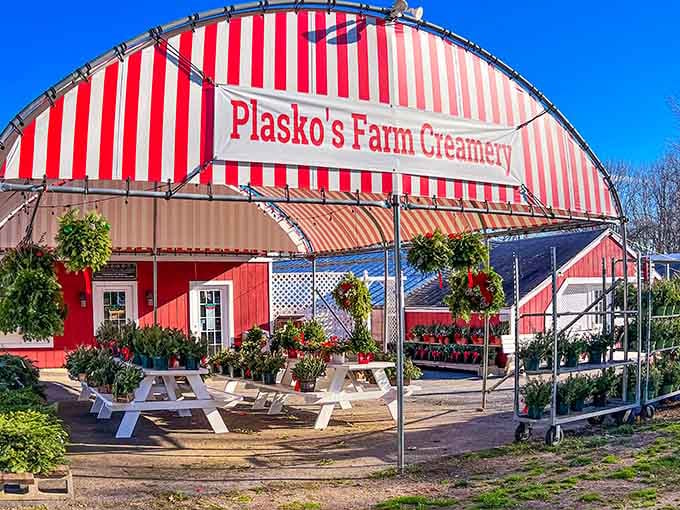 When a striped awning this cheerful exists, resistance is futile and honestly, why would you even try?