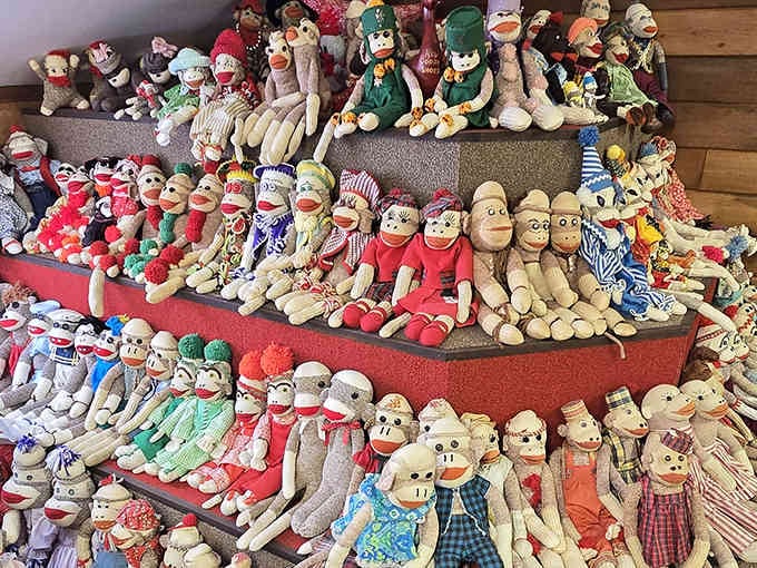 Rows of handmade sock monkeys arranged like a family reunion where everyone actually showed up happy.