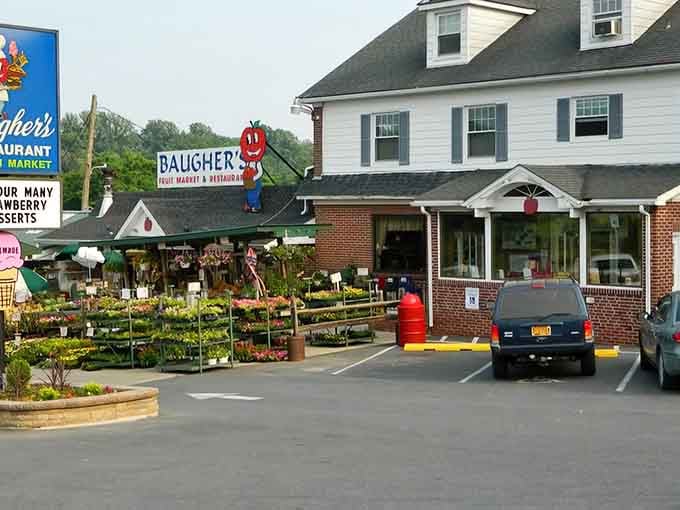 That cheerful apple mascot knows something you don't yet, but you're about to find out why everyone's smiling.