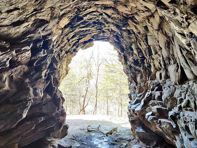 Nature's own architecture puts human designers to shame, with rock layers stacked like the world's most patient construction project over millions of years.