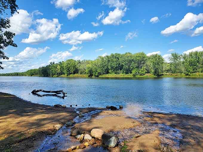 The St. Croix River through towering pines looks like a postcard that forgot to exaggerate.