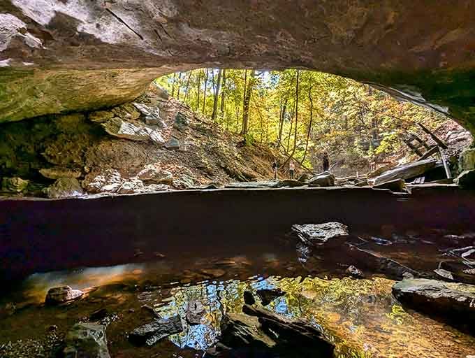 Nature's architecture at its finest, proving limestone has better design sense than most humans.
