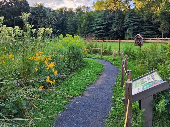 This trail through blooming gardens proves that the best therapy doesn't require a co-pay or appointment.