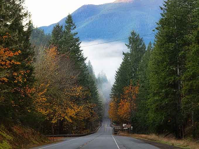 Highway 101 cuts through fall colors and morning mist like a scene from your favorite Pacific Northwest daydream.