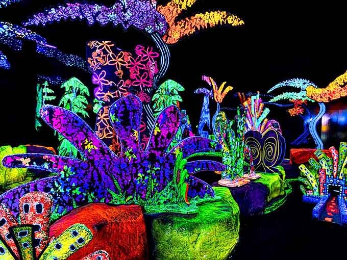Welcome to an underwater fantasy where coral and sea creatures explode in colors nature never quite imagined.