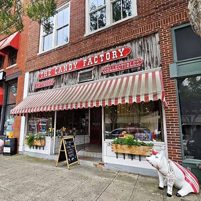 That red and white striped awning isn't just charming, it's practically waving you inside for sweetness.