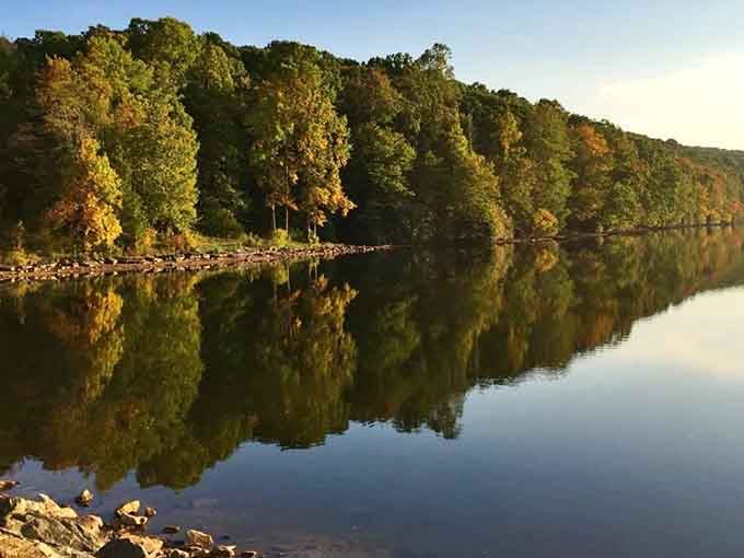 When the water mirrors the trees this perfectly, you're looking at nature's own masterpiece in action.