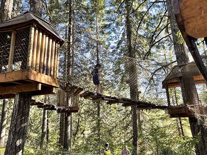 Wooden platforms and rope bridges weave through towering trees, creating an aerial playground that defies gravity and common sense.