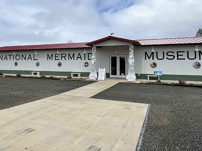 The International Mermaid Museum announces itself with zero subtlety, and honestly, that's exactly the energy we need.