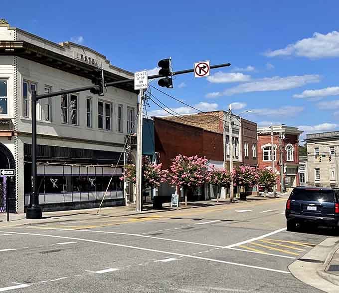Classic storefronts and blooming trees create the kind of Main Street America scene that never goes out of style.