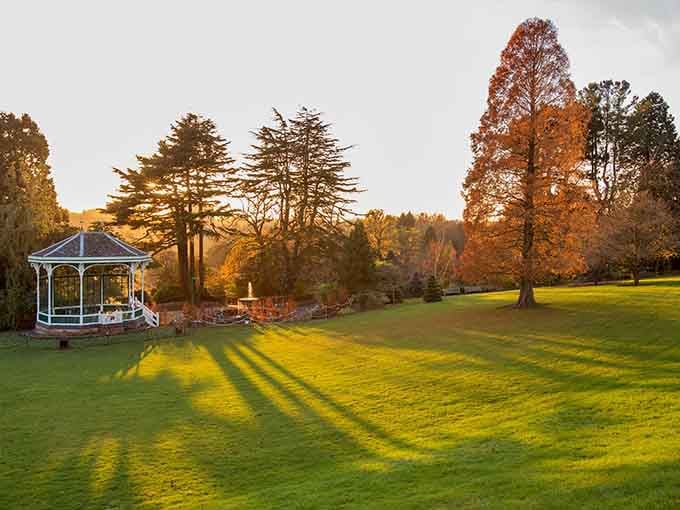 Golden hour at the gardens proves that Mother Nature moonlights as a professional photographer with impeccable timing.