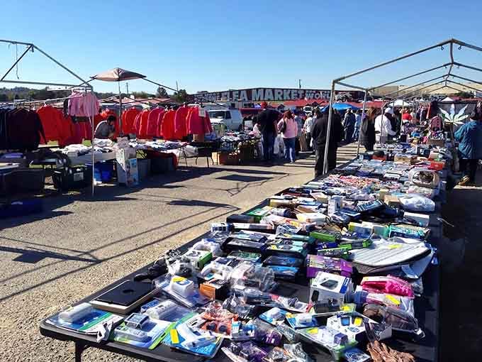 When your shopping list says "essentials" but the flea market whispers "everything you never knew existed."