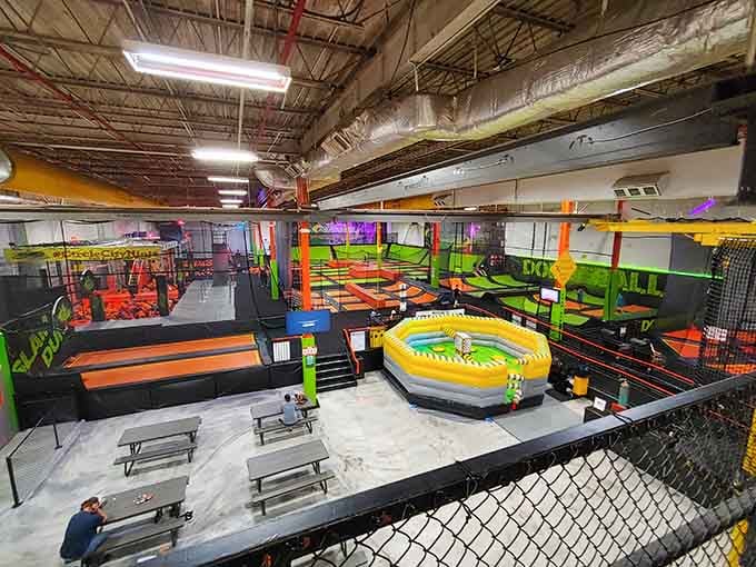 This explosion of color and activity is where gravity goes to retire and fun clocks in for overtime.