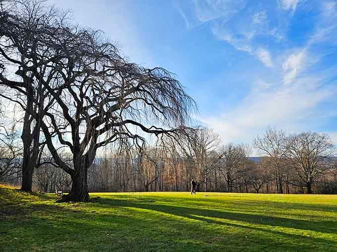 When New Jersey decides to show off, it doesn't mess around with half measures or modesty.