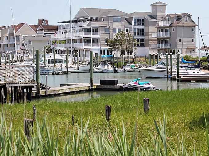 Marina life meets coastal charm where boats bob peacefully and marsh grasses sway in the breeze.