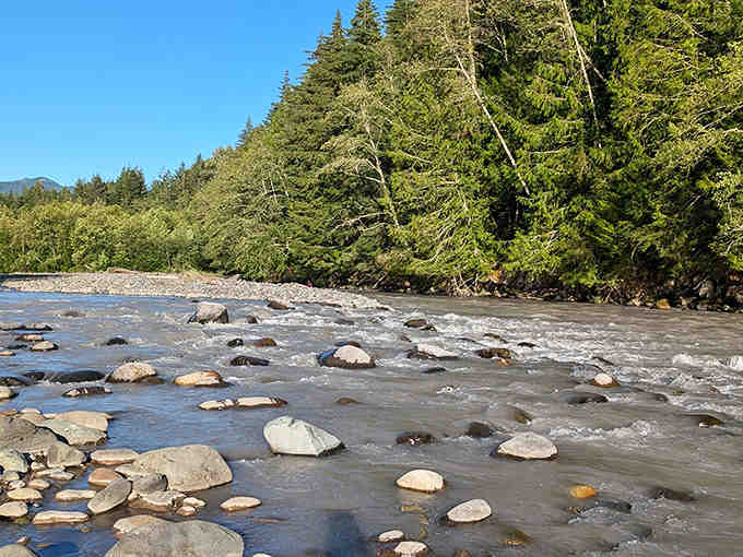 The White River flows like liquid jade through ancient forest, proving Washington's best secrets hide in plain sight.