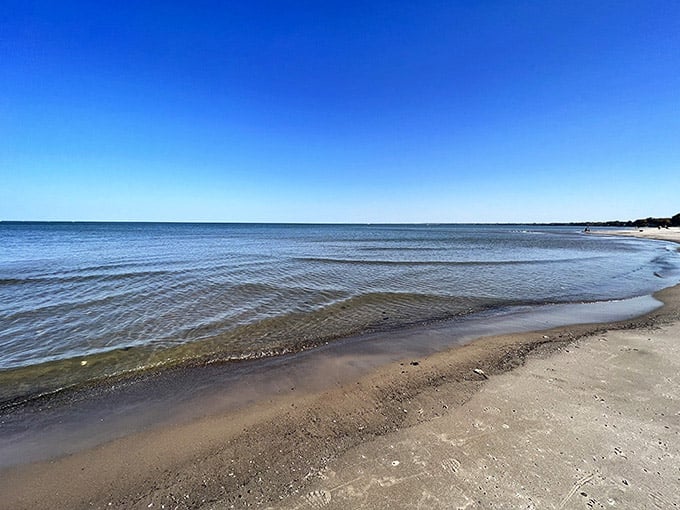 Lake Erie doing its best ocean impression, complete with gentle waves and sand that won't haunt your car forever.