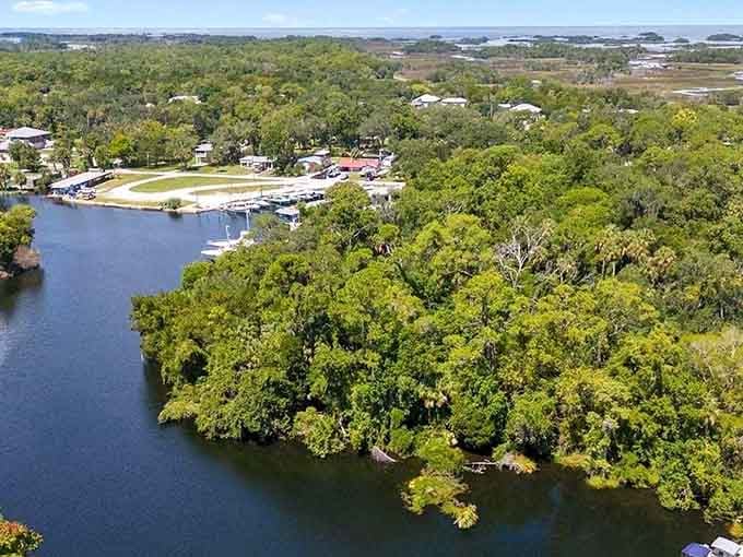 This aerial view reveals Yankeetown's secret: a town where trees outnumber people and nobody's complaining.