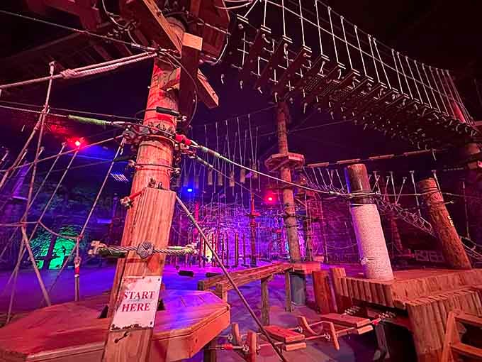 Adventure courses that look like they belong in a sci-fi movie, except this is gloriously real and waiting underground.