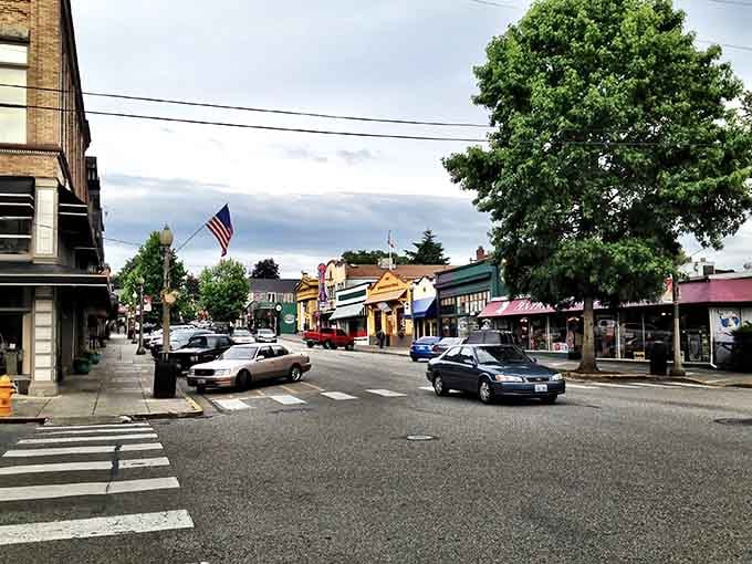 This is what Main Street America looks like when it refuses to surrender to strip malls and chain stores.