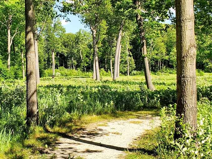 Ancient trails wind through oak forests where history literally rises from the earth beneath your feet.