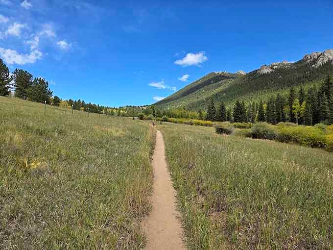 That trail stretching through golden meadows isn't just a path&mdash;it's your escape route from the everyday grind.