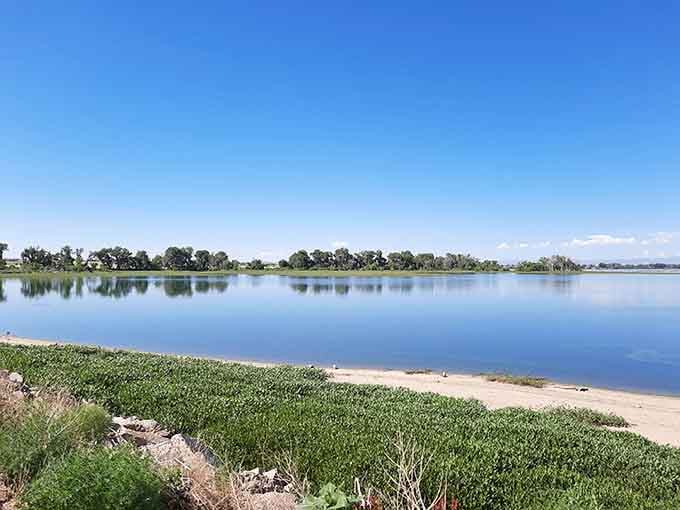 When the water's this calm, even the ducks probably wonder if someone hit the universe's pause button.