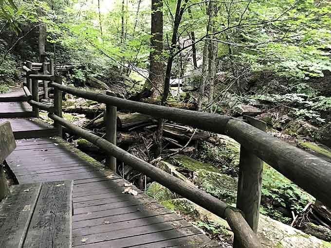 These wooden bridges aren't just functional, they're front-row seats to nature's greatest show below.