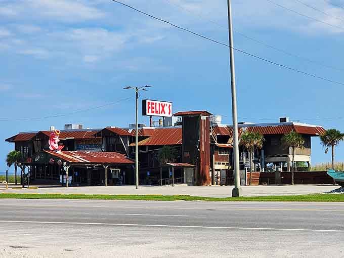 That weathered tin roof and palm trees tell you everything: serious seafood lives here, no pretense required.