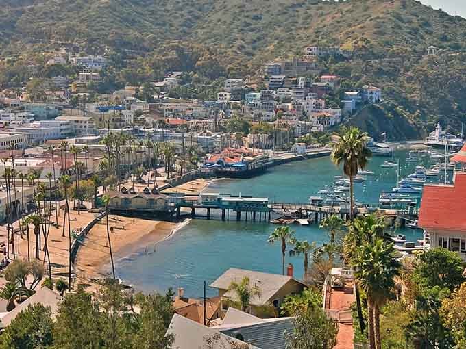 Avalon spreads across the hillside like a postcard that somehow became real, complete with palm trees and turquoise water.