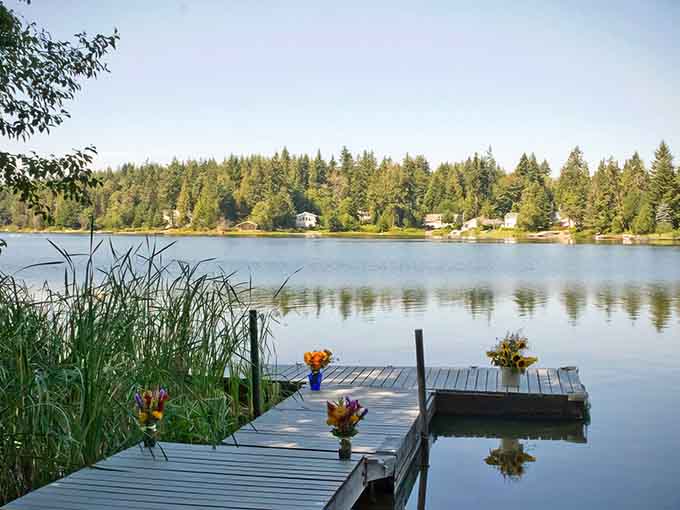 That dock practically begs you to sit with coffee in hand, contemplating absolutely nothing and everything simultaneously.