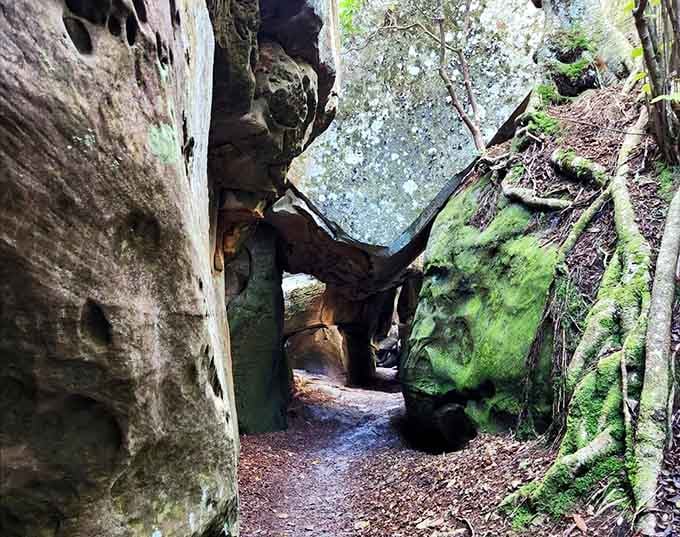 Nature's architecture at its finest&mdash;these towering sandstone walls create corridors that would make any fantasy novelist jealous.