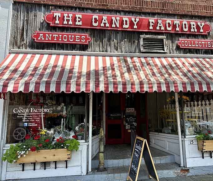 That striped awning beckons like a lighthouse for anyone with a sweet tooth and a sense of nostalgia.
