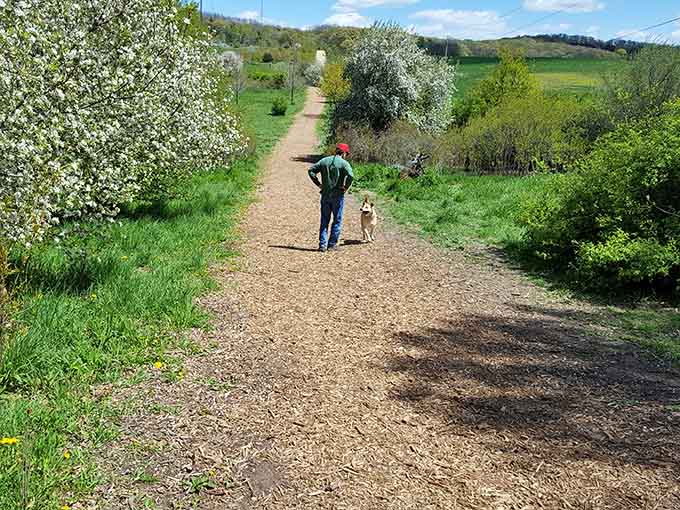 When the trail looks this inviting, even your dog knows you've found something special worth exploring together.