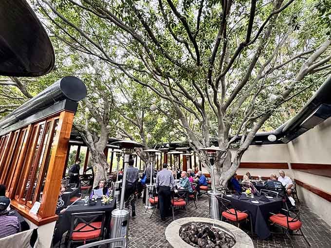 That magnificent tree canopy isn't just decoration, it's the main event at this desert dining paradise.
