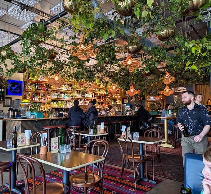 Plants hanging overhead like nature's disco ball while diners enjoy Mexican-inspired magic below.