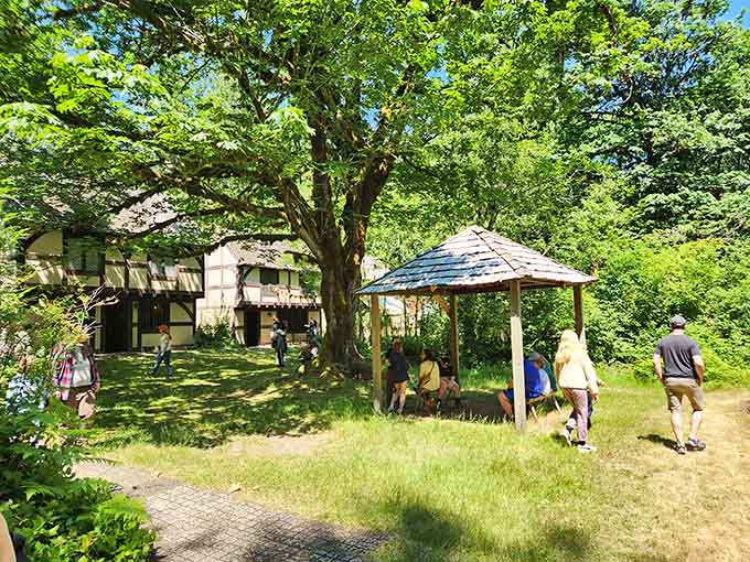 Timber-framed buildings nestle beneath ancient trees where visitors discover that medieval villages were surprisingly green and peaceful.