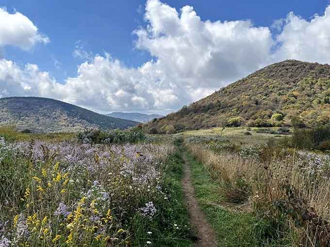 That rounded summit rising above the meadow is your destination, and trust me, it's worth every step.