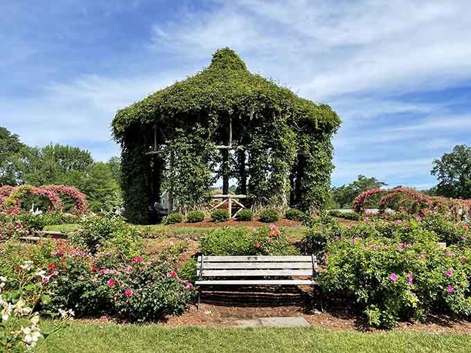 That vine-covered gazebo looks like something from a fairy tale, minus the wicked stepmother and talking animals.